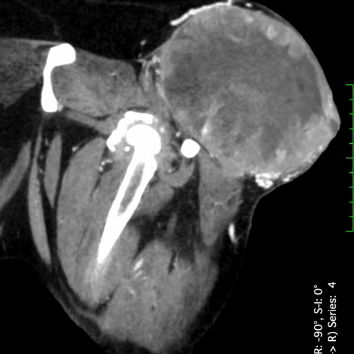 OncoVetDu 