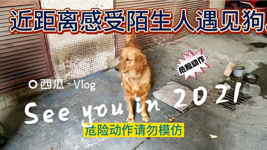 当狗狗见到陌生人的反应。好怕吓死人了。危险动作请勿模仿