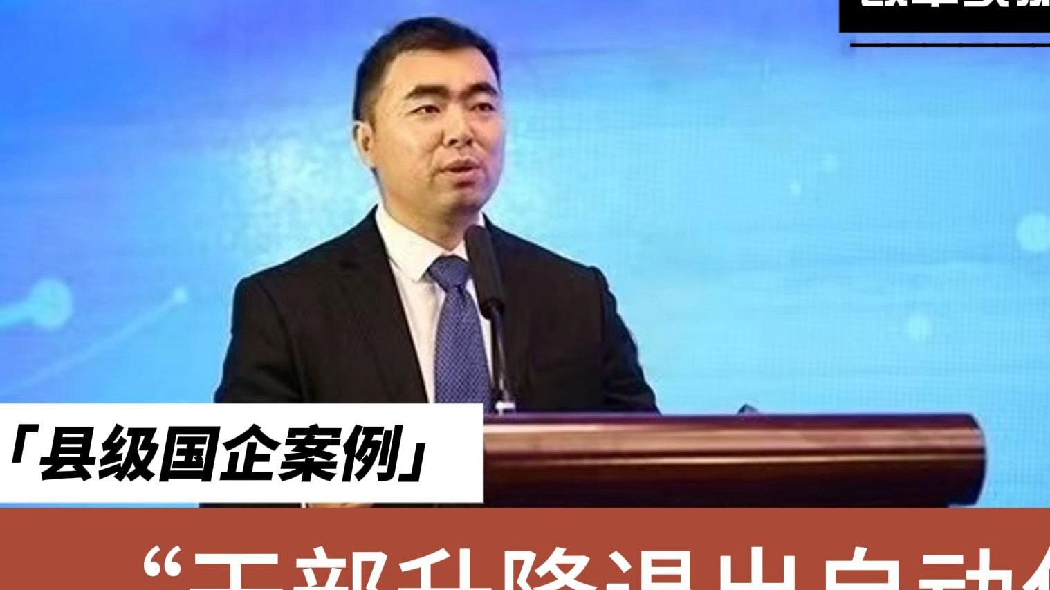 县级国企案例:干部升降退出自动化