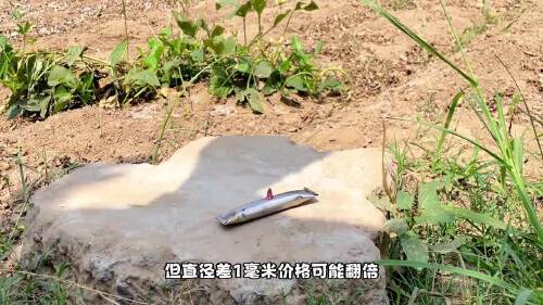 揭秘304不锈钢管价格:1.0厚度每米真实成本曝光!