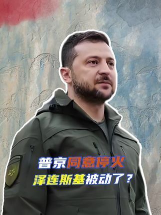 俄乌停火正在进行时!普京表态可以停火,泽连斯基却扯下遮羞#近代史 #...