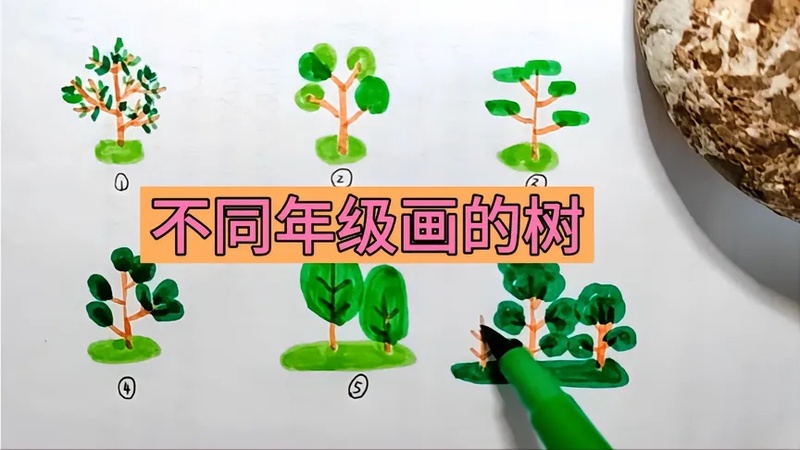 不同年级画的树,简笔画大树