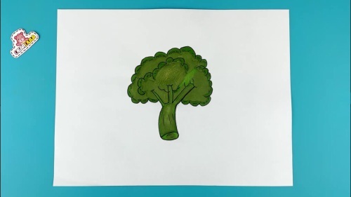 西兰花的简笔画可爱图片