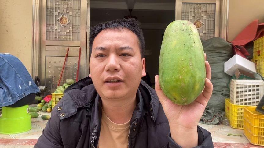 买了我的水果木瓜的朋友,有人收到不会放熟和订单位置查询我教你