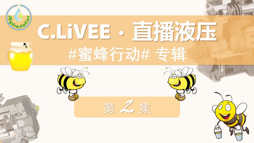 #蜜蜂行动# | 柱塞泵零部件的专业名称及功能 (二)