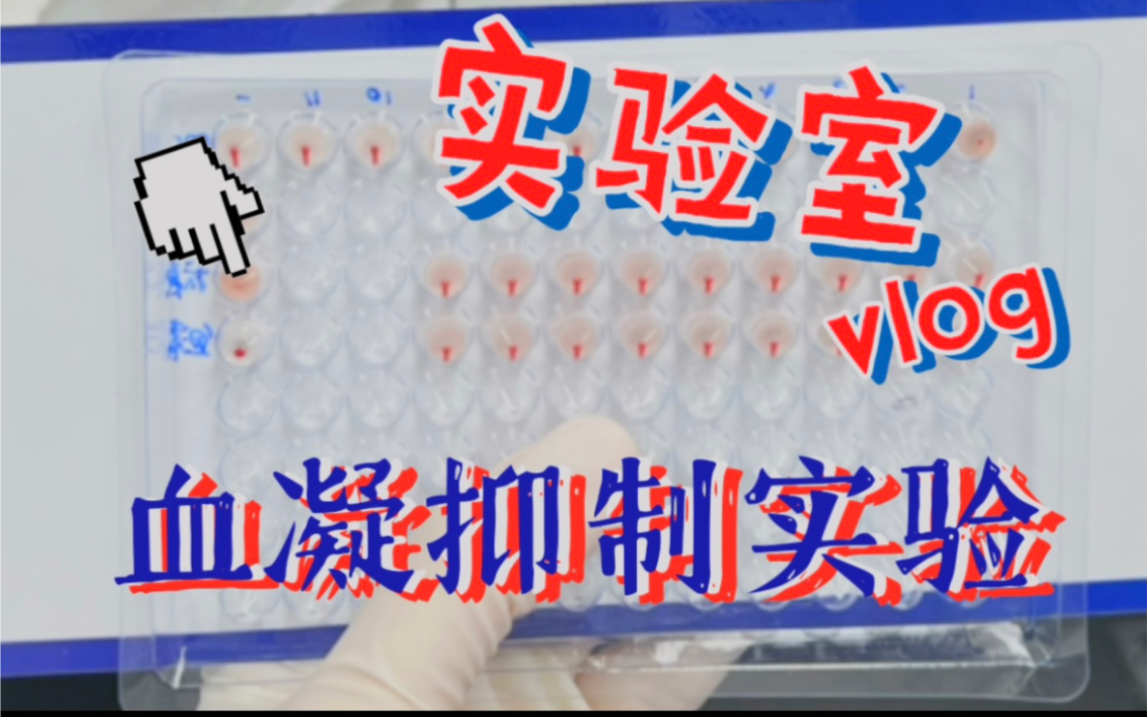 实验PART.2 | 血凝抑制试验(HI试验)记录