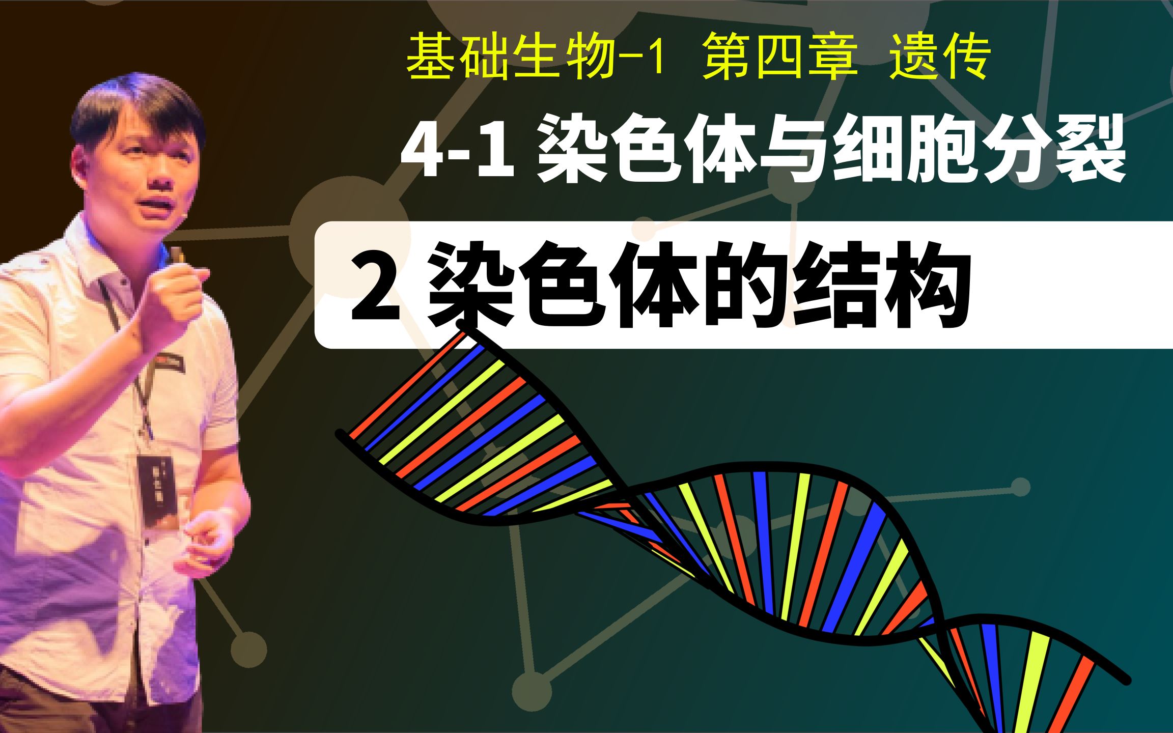 基础生物学4-1.2 染色体的结构