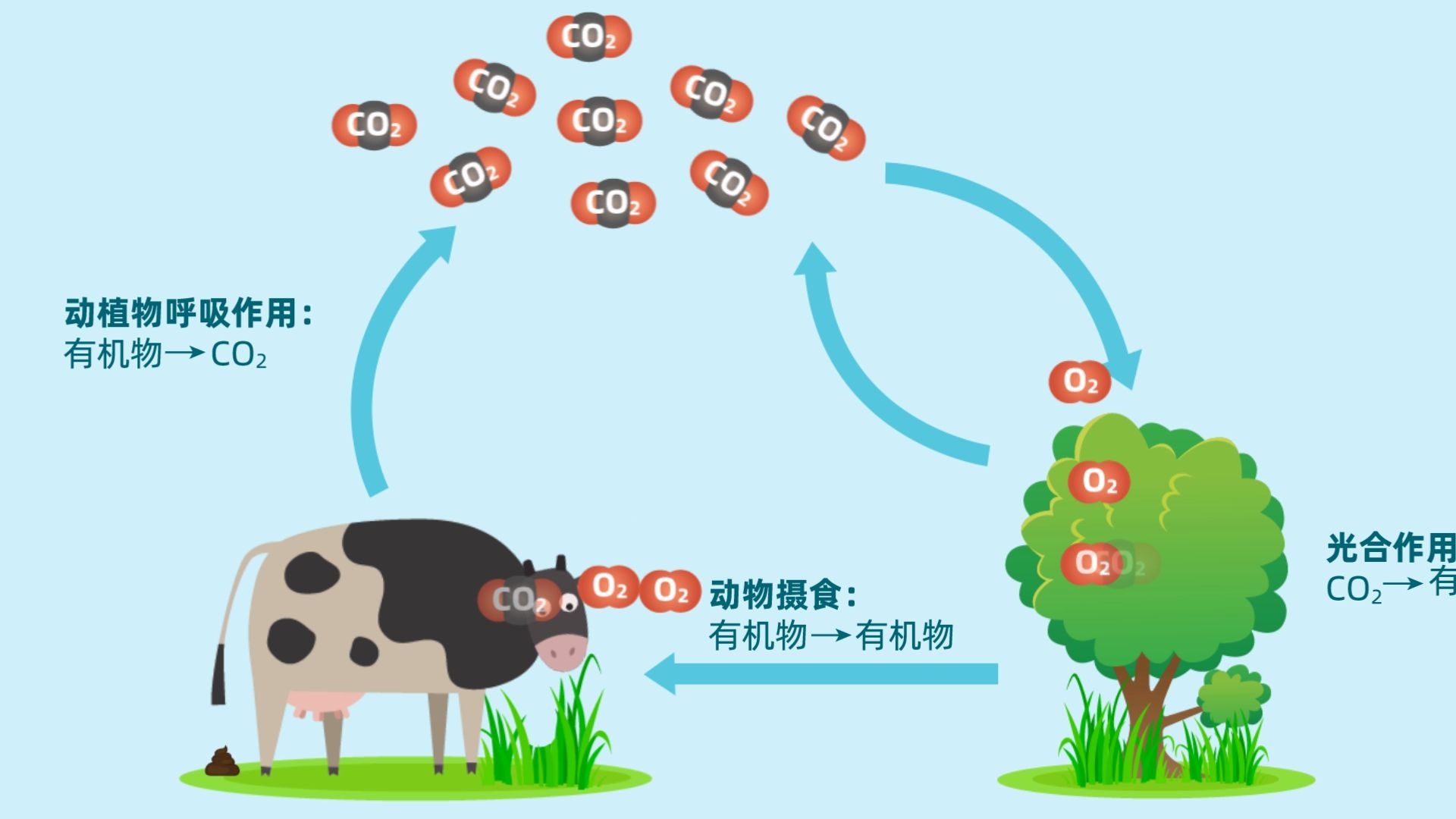 【化学】自然界中的碳循环