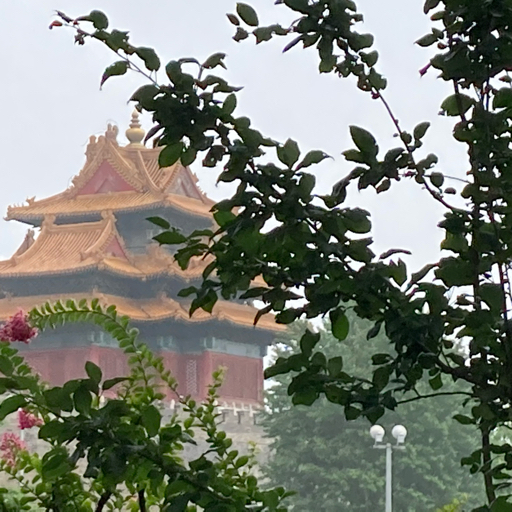 好奇天狗的狼妖 