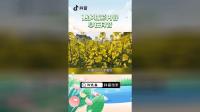 全网都在找的免费文案尽在抖音app!你还在等什么?