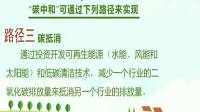 成视新闻 2021 如何实现“碳中和”