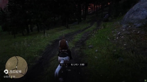 《荒野大镖客2》恶狼袭村!草莓镇惊魂夜!