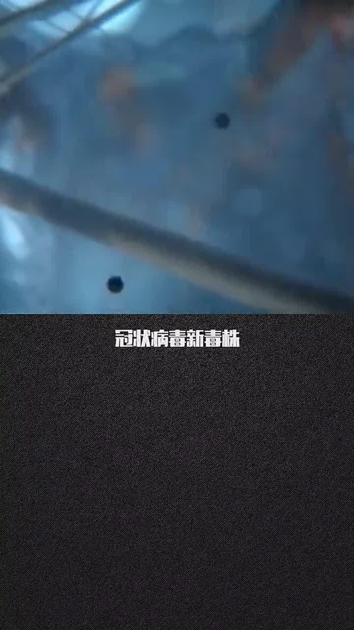 新型冠状病毒是什么?你了解吗?