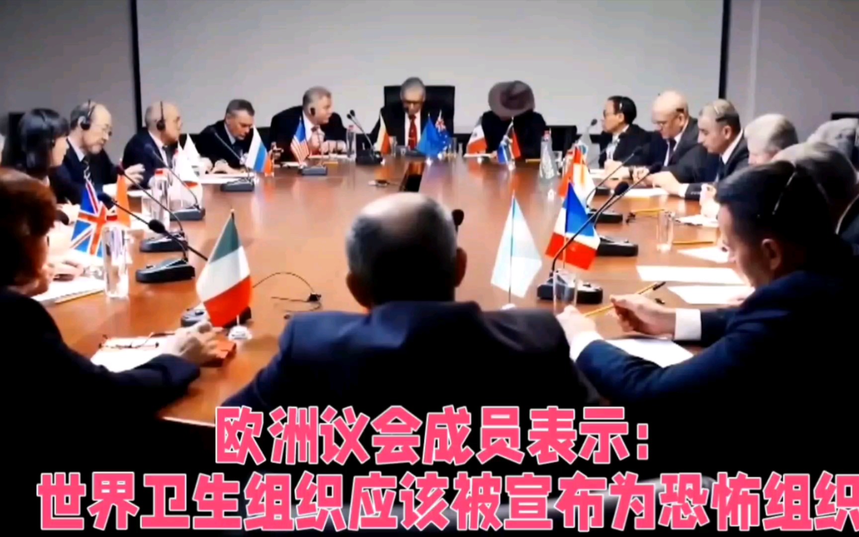 欧洲议会成员表示:世界卫生组织应该被宣布为恐怖组织