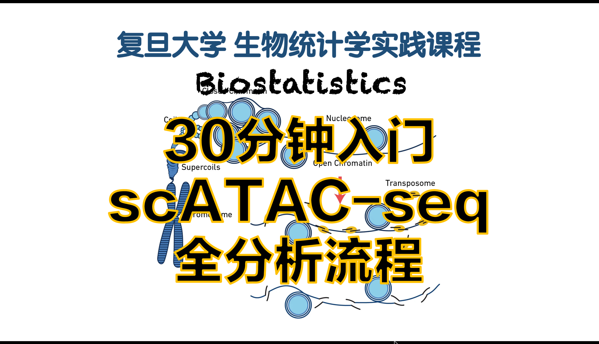 【FDU生统实践课-3】单细胞ATAC-seq全分析流程 30分钟入门