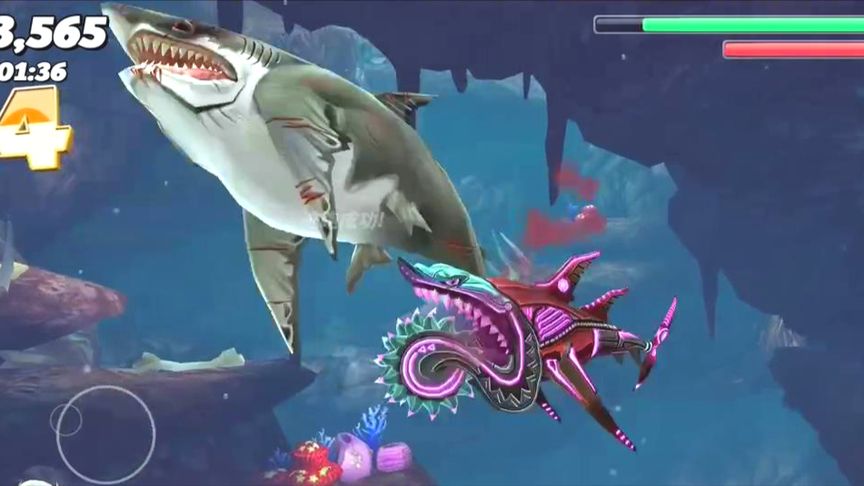 饥饿鲨世界:难得一见的旋齿鲨PK 巨齿鲨,谁会被吃掉呢?