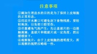4.观察人的口腔上皮细胞
