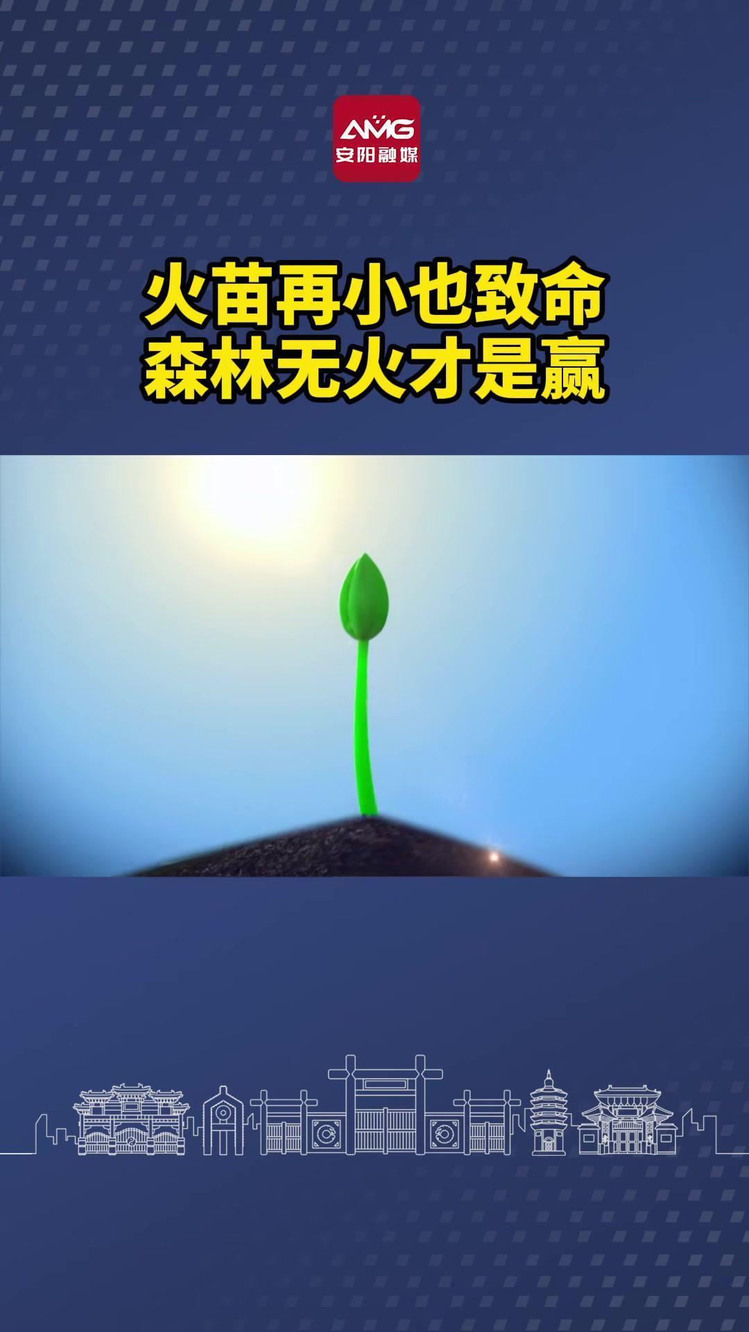 火苗再小也致命,森林无火才是赢!(来源:河南省应急管理厅发布:王建民)