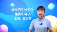 教科版小学科学四年级下册 第6集 果实和种子