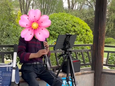 【科普】凤凰传奇玲花:谁还不是几百个月大的小孩了