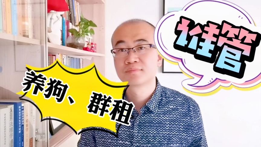 物业管理条例科普31,小区内违规养犬、群租等行为,谁应该负责管