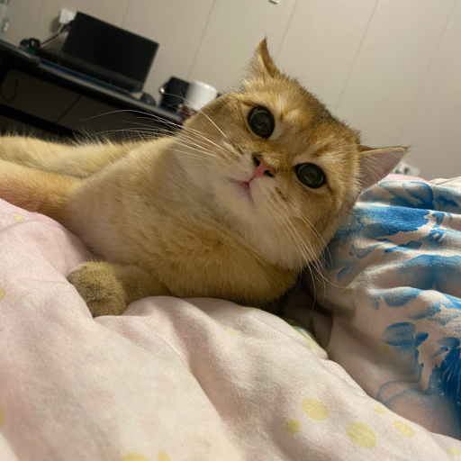 倚窗听雨滴 