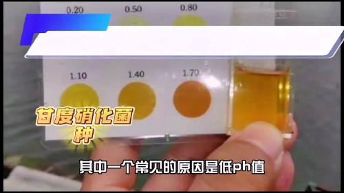 如何解决低pH值导致的氨氮超标问题?在污水处理过程中