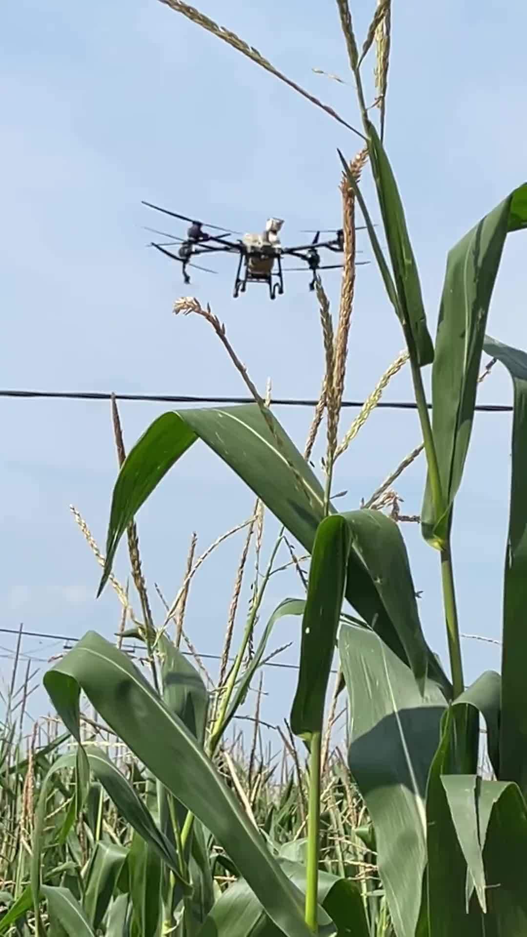 纯电皮卡在农业无人机的应用上,具备运输、充电全方位的优势