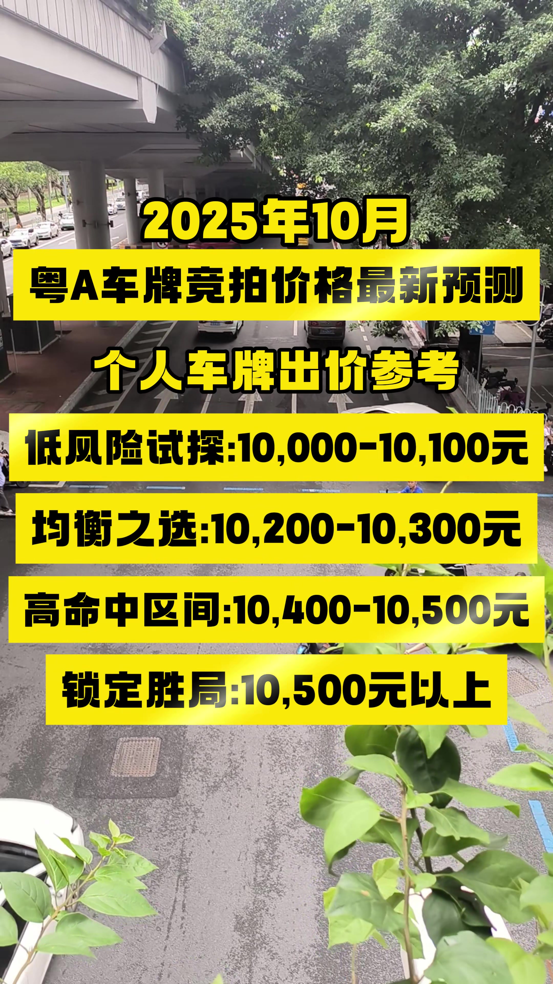 ...年10月粤A车牌最新价格预测 #广州竞拍#广州中小客车竞拍#车牌竞价