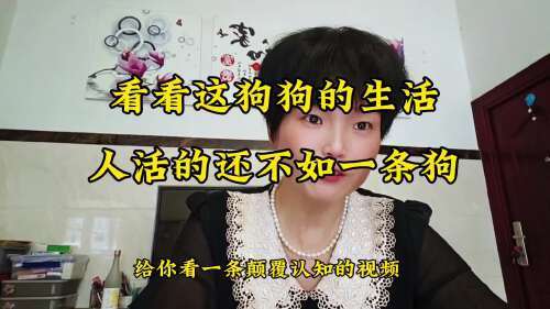 狗狗生活的真相,人还不如狗!