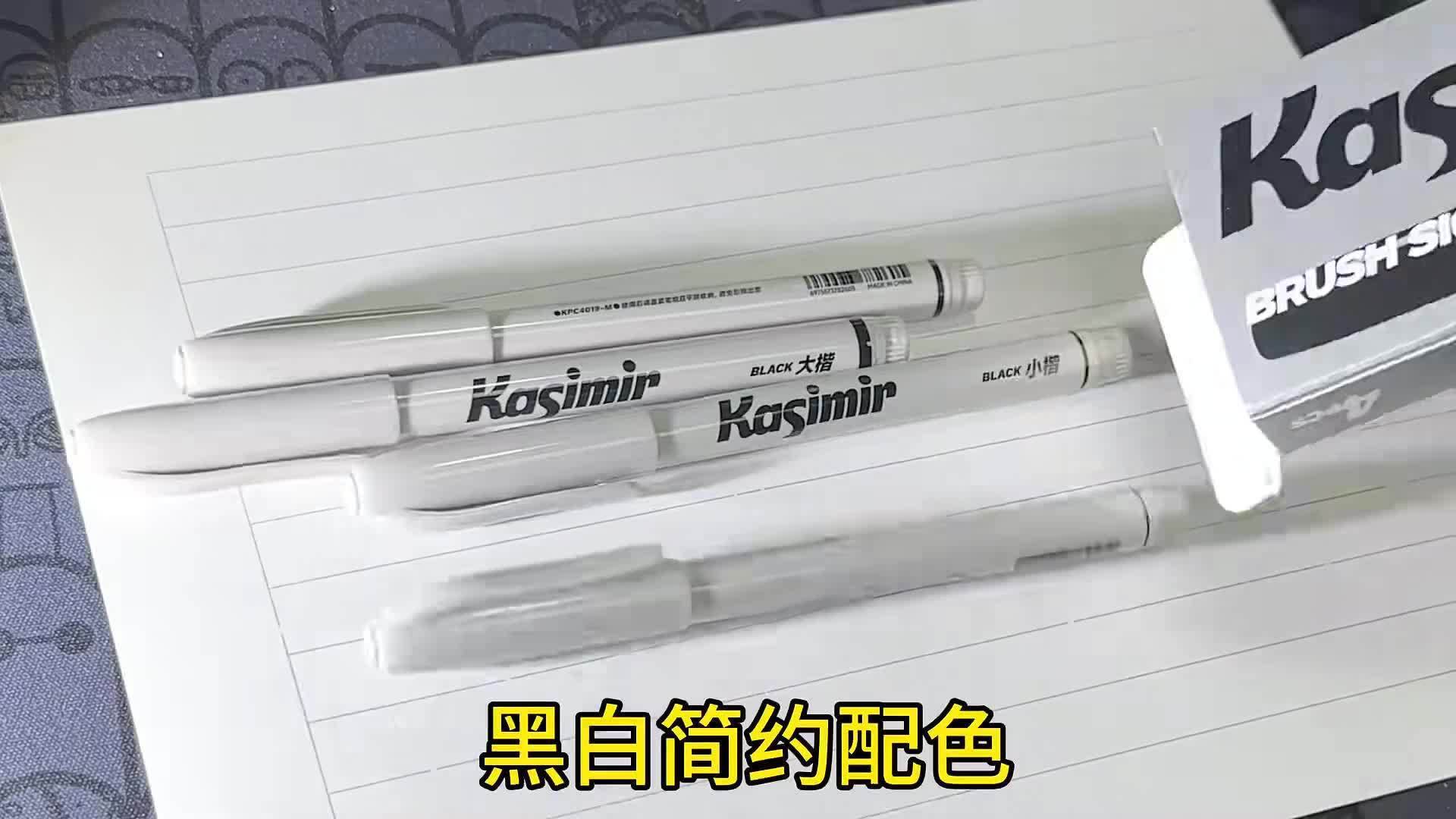 自带笔锋的秀丽笔写字还挺帅 #文具安利 #秀丽笔