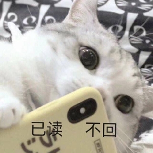 案件调查 