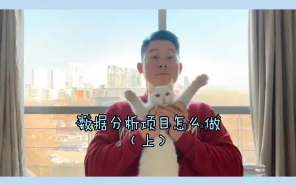 Stone教你做数据分析项目(上)