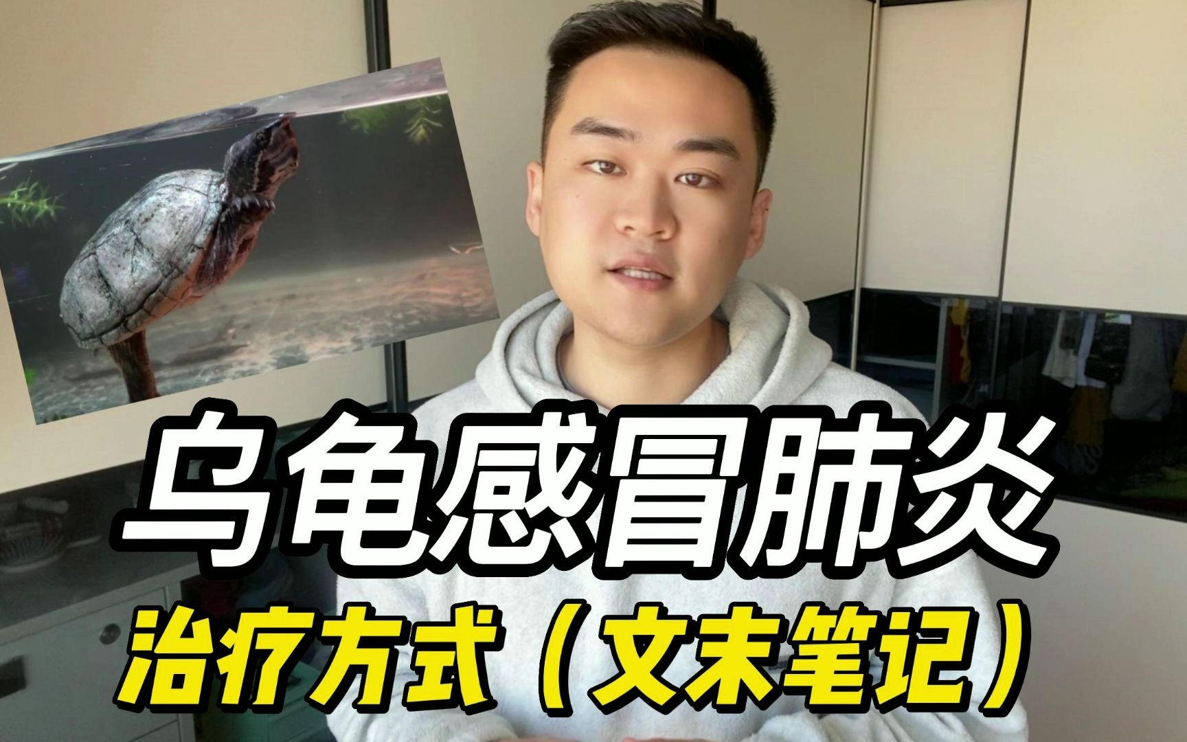 干货!乌龟感冒肺炎的治疗与用药,文末有笔记