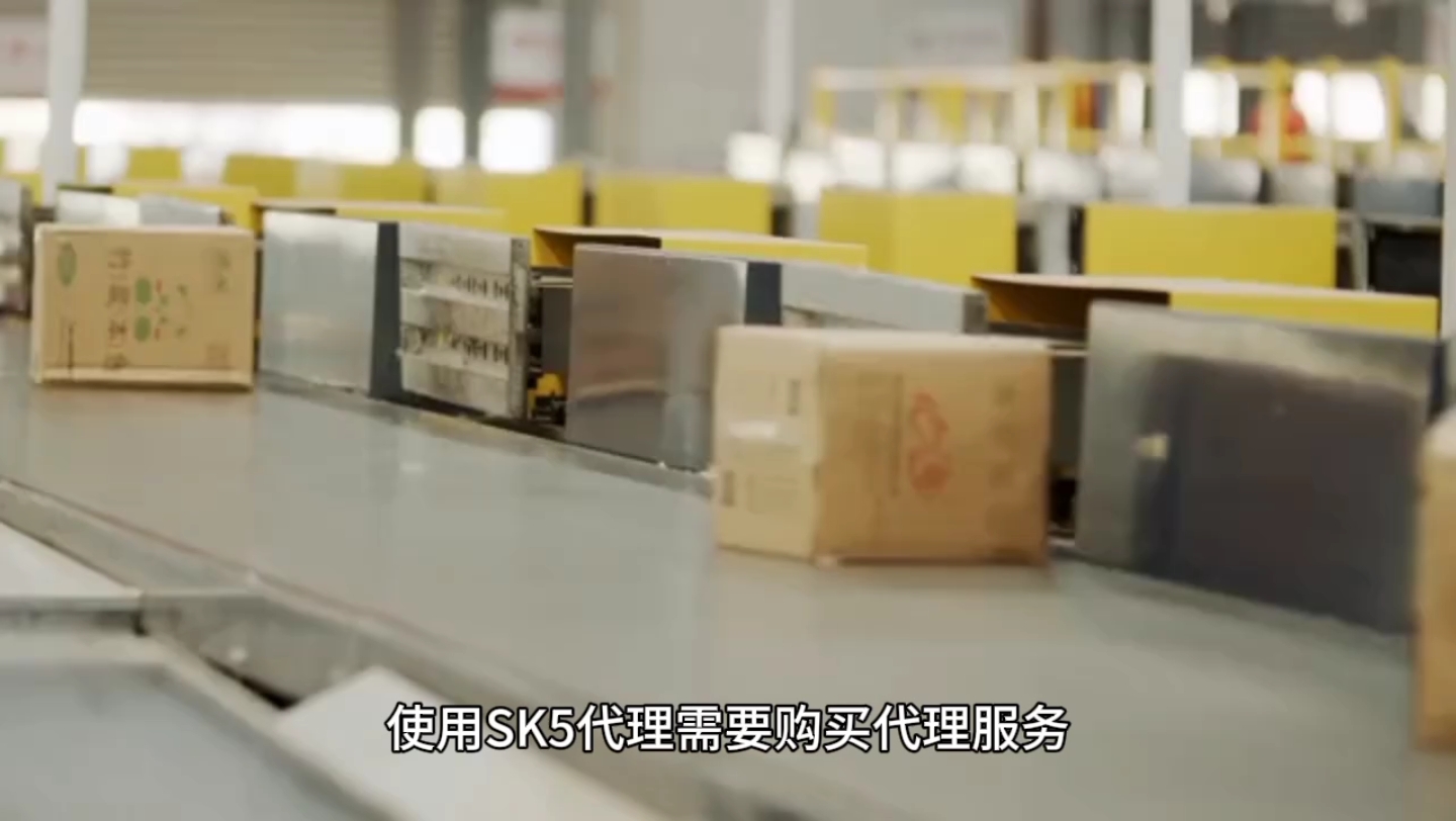 SK5代理的使用方法