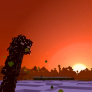 给硬币是不可能的 