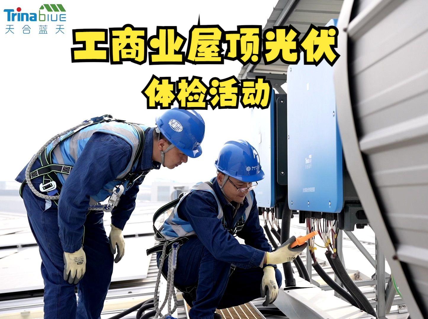 “Trinablue蓝天行动”首战告捷!