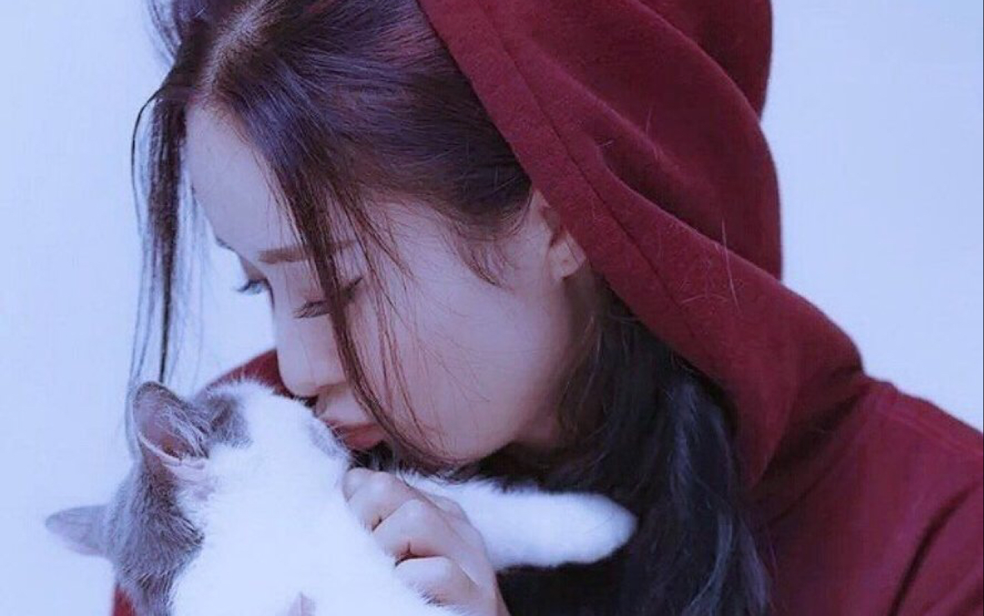 赵丽颖12.25号行程