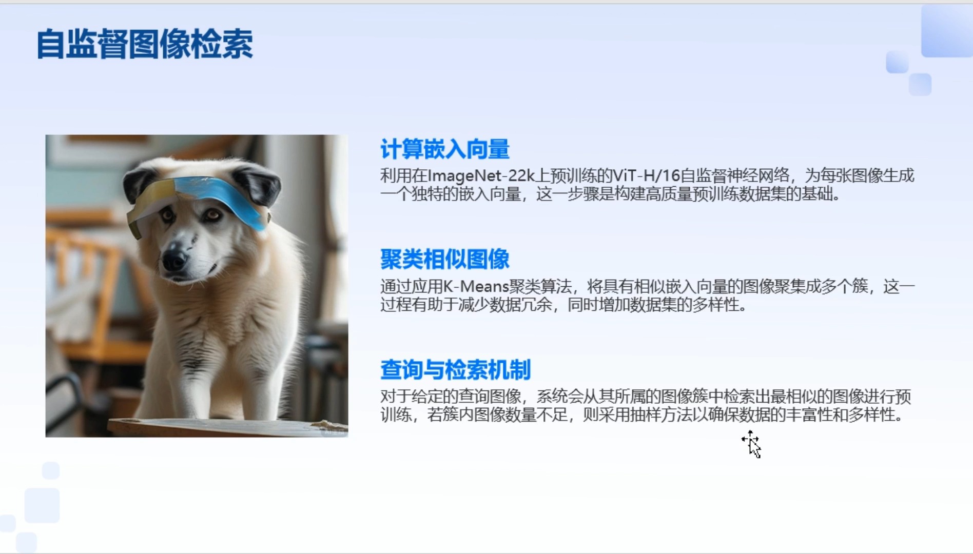 ...网络解析(互关) DINOv.2算法详解 自监督学习在计算机视觉中的应用