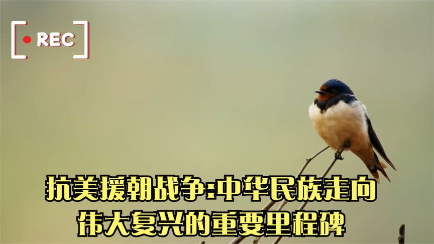 抗美援朝战争:中华民族走向伟大复兴的重要里程碑