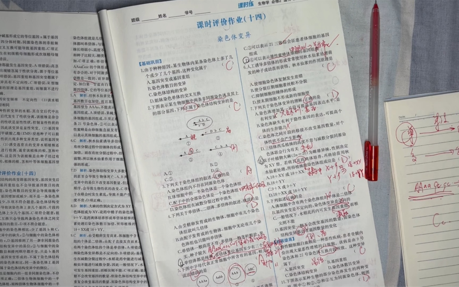 课时评价作业(十四)