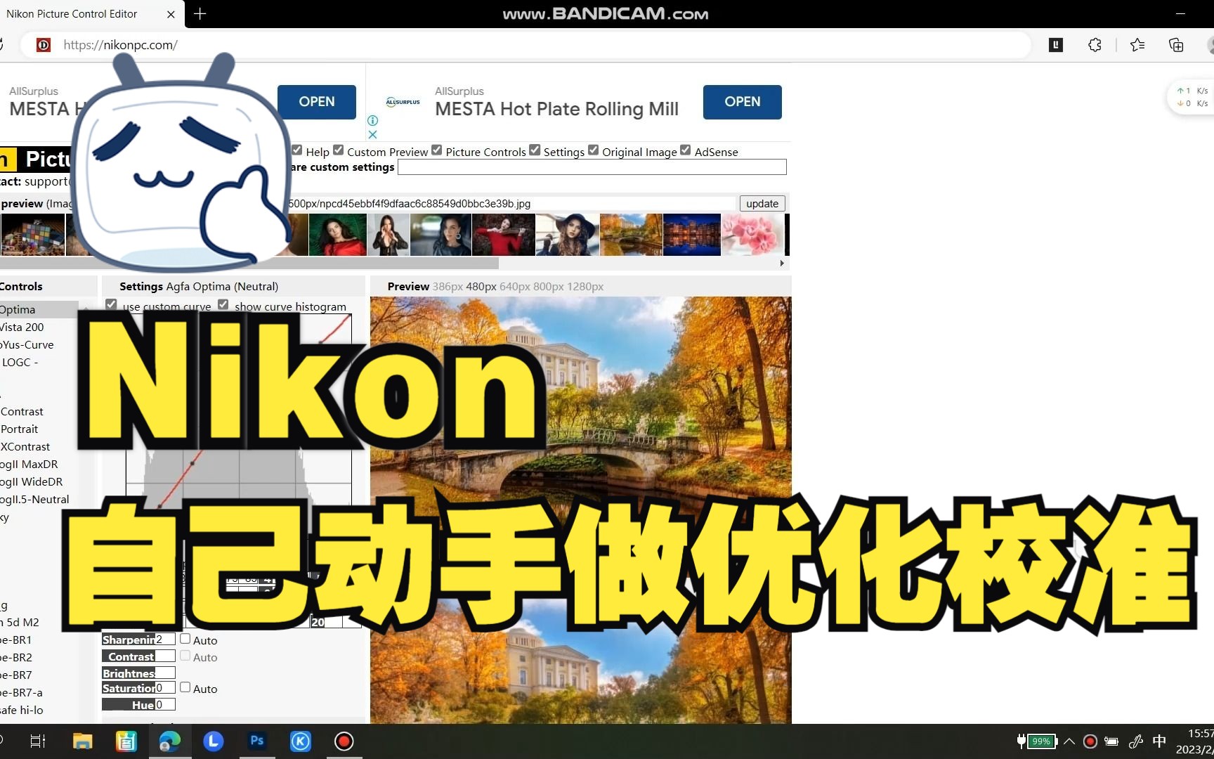 自己动手做一个自己喜欢的尼康Nikon优化校准(预设)吧!喜欢什么风格...