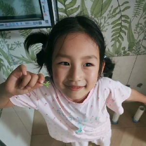 宇宙无敌冰鸟獸 