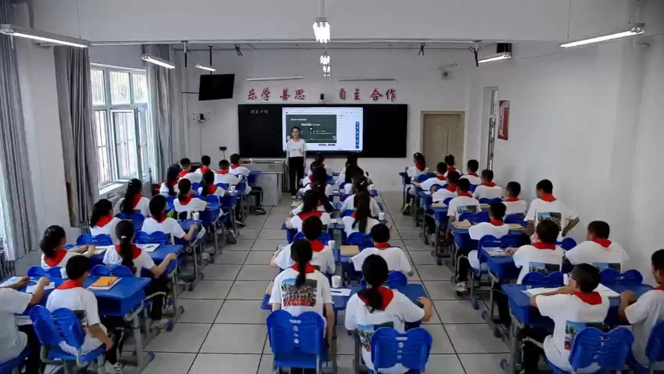 《鸽巢问题》双师课堂教学实录
