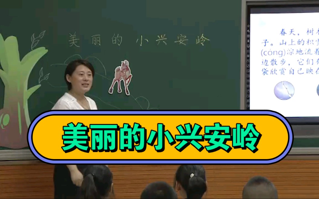 ...三上语文 《美丽的小兴安岭》大单元教学设计 新课标任务群 教学实录
