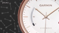 Garmin佳明vivomove智能计步久坐健康时尚运动活动监测指针手表