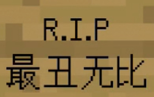 在我的世界服务器用命令方块抓到个熊孩子