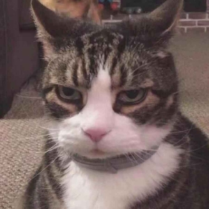 胡咧咧呀 