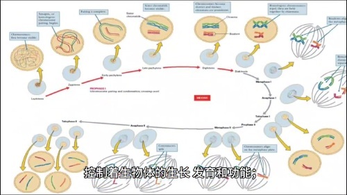 科学思维严谨,数据形成扎实结论的重要性何在?