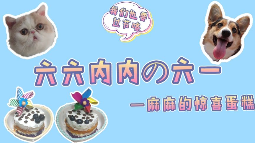 让狗狗馋到不行的“宠物小蛋糕”,你家宝贝还挑食吗?